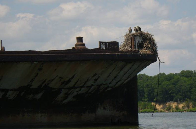 Mallows Bay Designation Moves Forward LexLeader