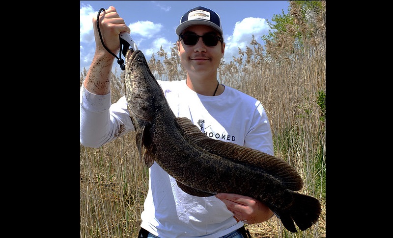 Another Master Angler Reels in an Award LexLeader