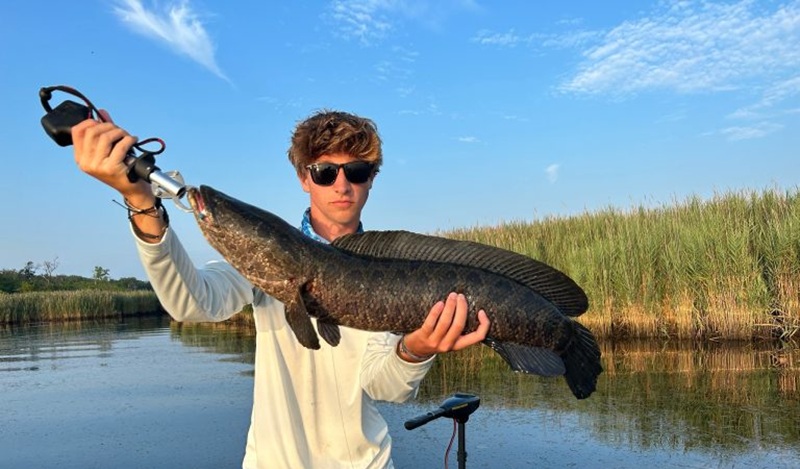 FishMaryland's Newest Master Anglers LexLeader